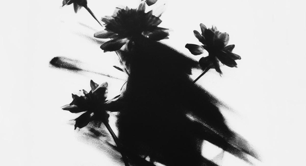 Own Patterns. - YZA Voku